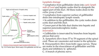 Extrahepatic Biliary Apparatus for medical students.pptx