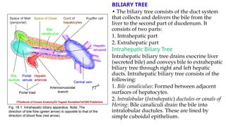 Extrahepatic Biliary Apparatus for medical students.pptx
