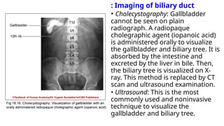 Extrahepatic Biliary Apparatus for medical students.pptx