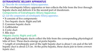 Extrahepatic Biliary Apparatus for medical students.pptx