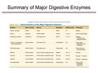 Major Digestive Enzymes Chart