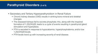 Chapter 18 Parathyroid Function (1).pdf