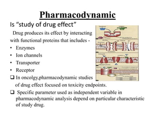 Chapter 18 pharmacokinetics and dynamics of anticancer drugs | PPTX