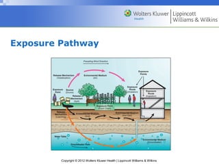 Chapter 18 ppt | PPT | Indoor Environmental Quality | Home & Garden