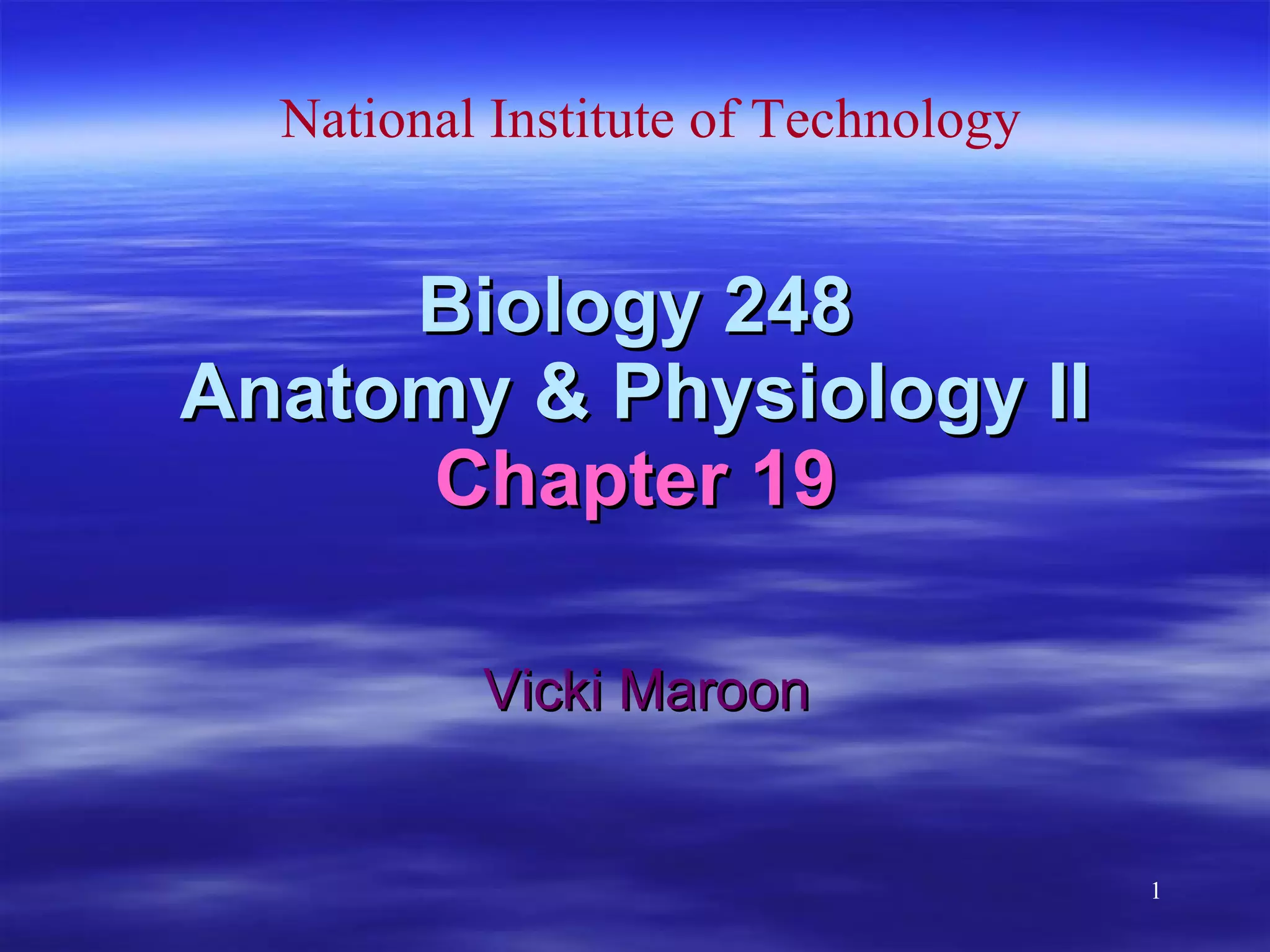 Chapter 19 | PPT
