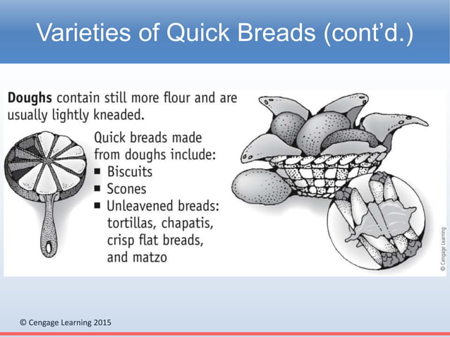 Chapter 19 - Quick Breads | PPTX