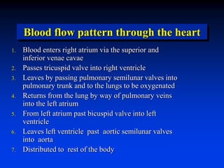 Chapter19 heartmarieb | PDF