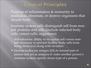 Chapter 19 Inflammation Immune Concepts | PPT