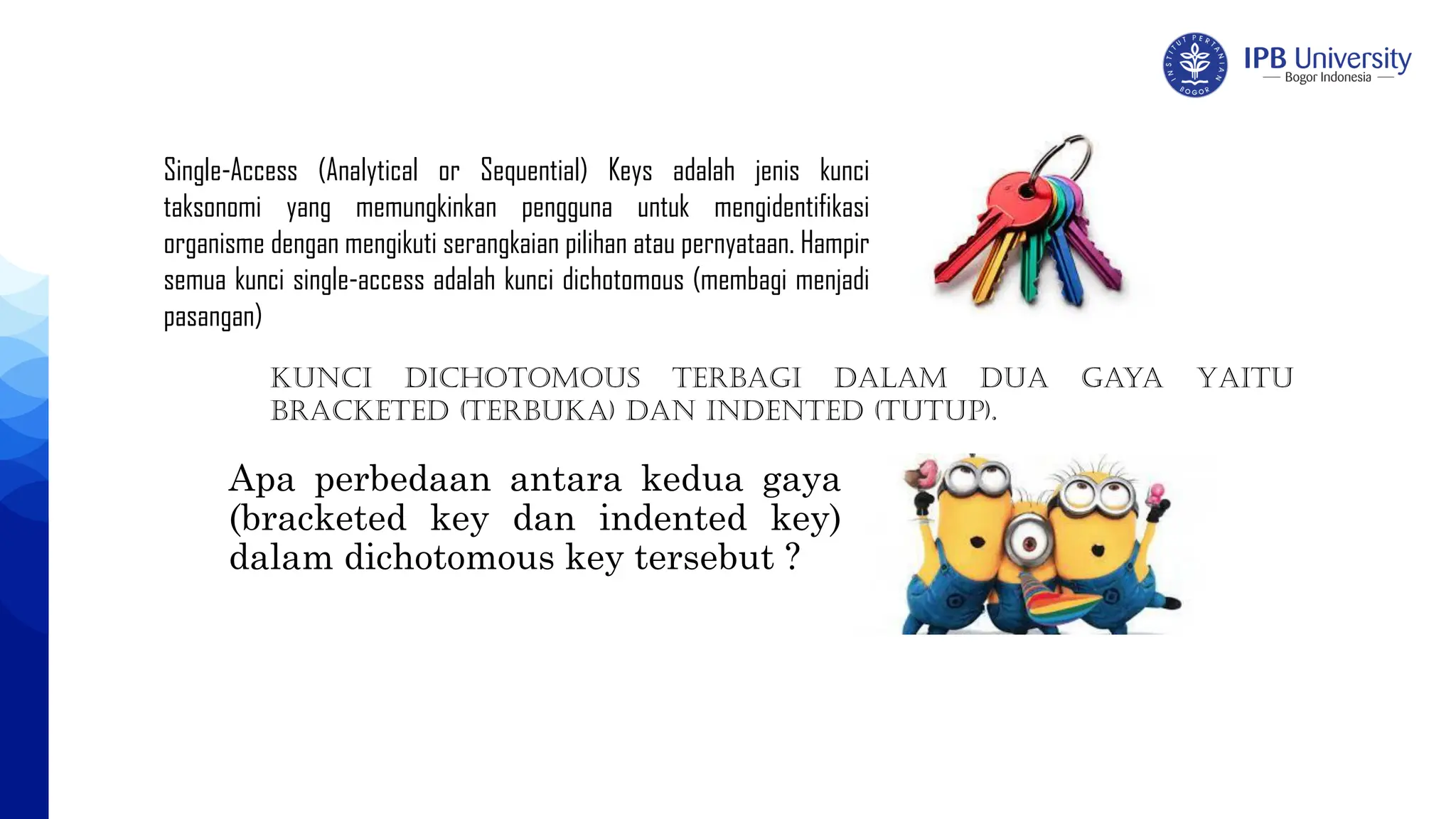Taxonomic KEYS of insect and another organism | PDF