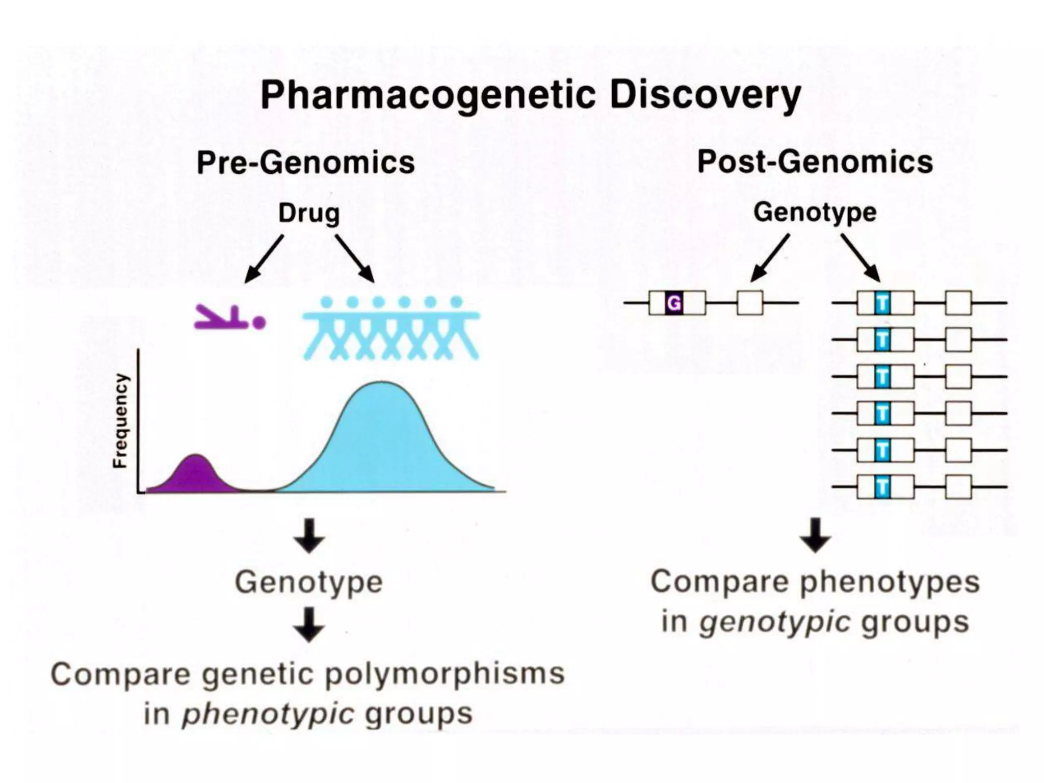 Chapter 19 pharmacogenomics | PPT