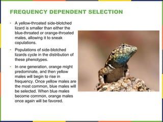 chapter_19_powerpoint.pptx