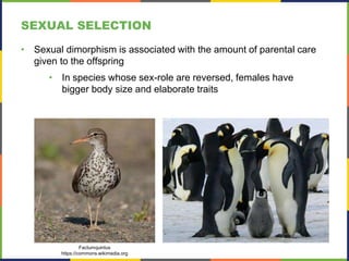 chapter_19_powerpoint.pptx