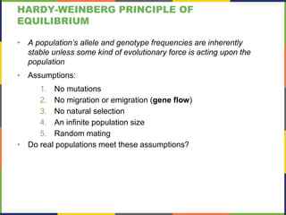 chapter_19_powerpoint.pptx