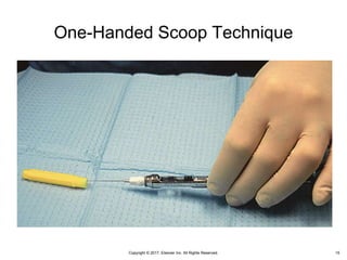 Chapter 19: Sharps Safety | PPTX