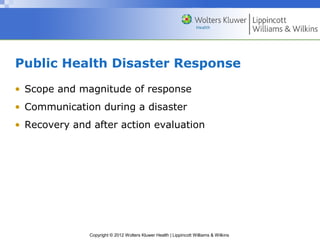 Chapter 19 ppt | PPT