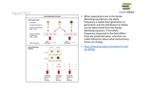 Chapter 19 presentation | PPT