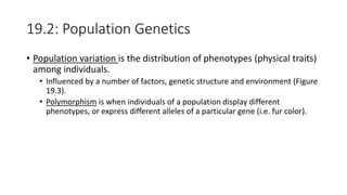 Chapter 19 presentation | PPT