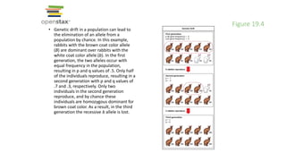 Chapter 19 presentation | PPT