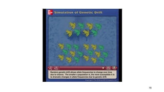 Chapter 19 presentation | PPT