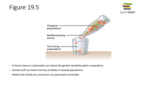 Chapter 19 presentation | PPT