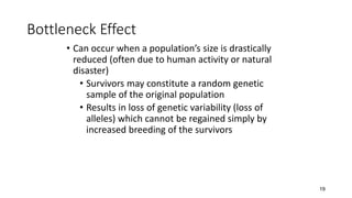 Chapter 19 presentation | PPTX