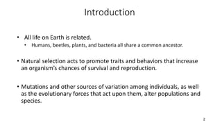 Chapter 19 presentation | PPTX