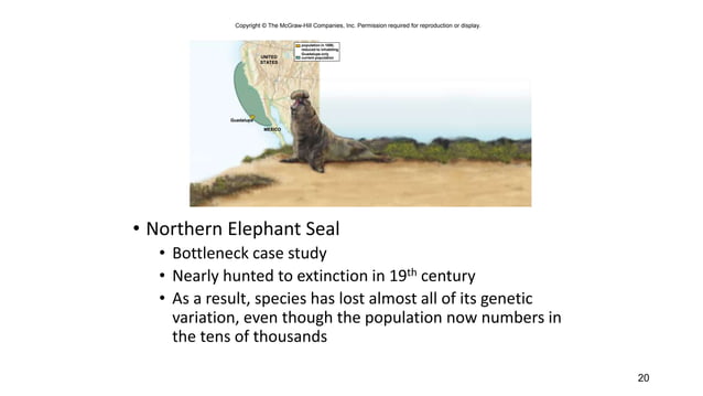 Chapter 19 presentation | PPT | Free Download
