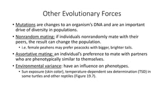 Chapter 19 presentation | PPTX