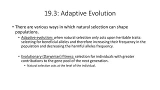 Chapter 19 presentation | PPT