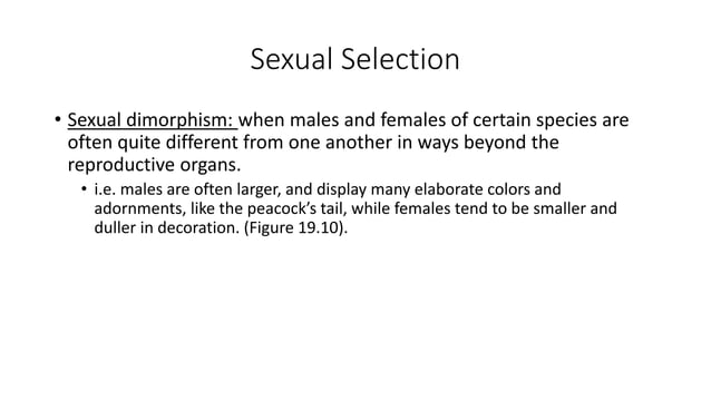 Chapter 19 presentation | PPT