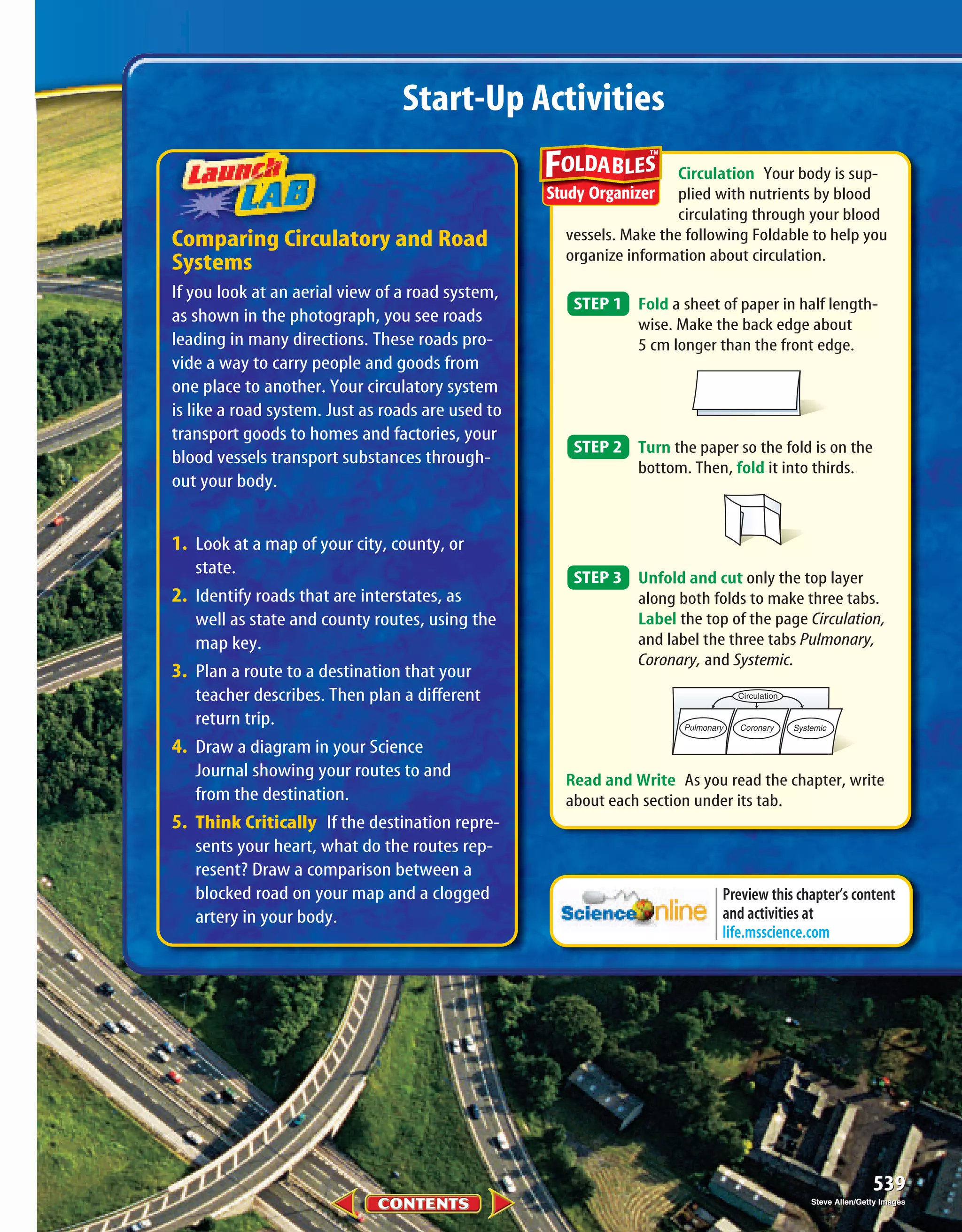 Chapter 19 textbook | PDF