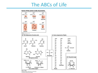 Biochemistry - Ch1 foundation of Biochem , ch2 water and aqueous ...