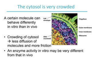 Biochemistry - Ch1 foundation of Biochem , ch2 water and aqueous ...