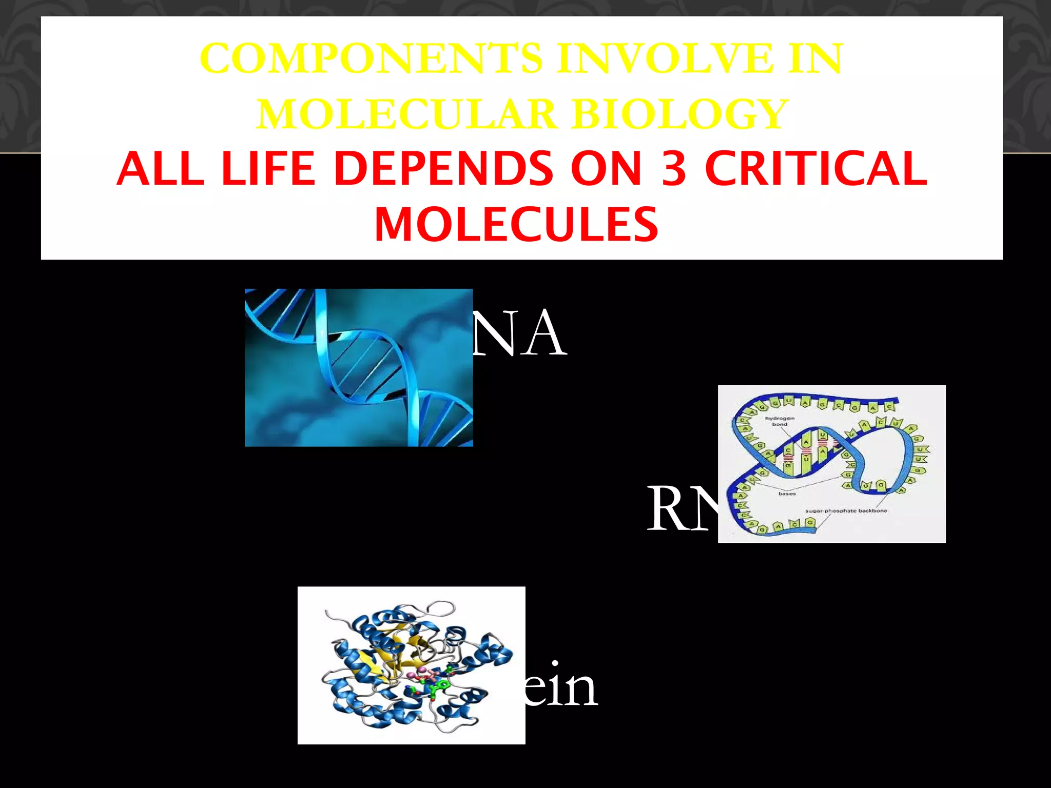 introduction to molecular biology | PPT