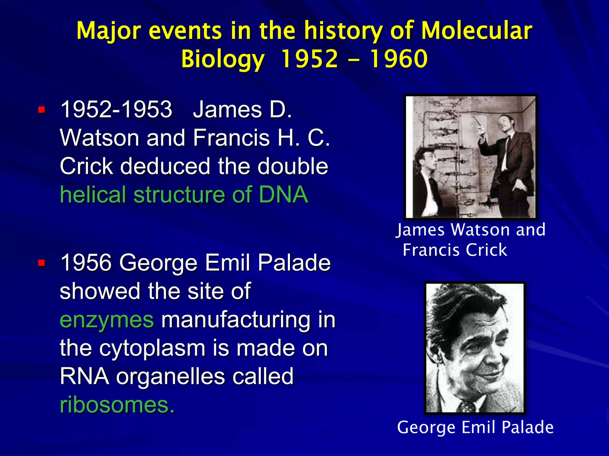 Chapter 1 An Introduction to Molecular Biology.ppt