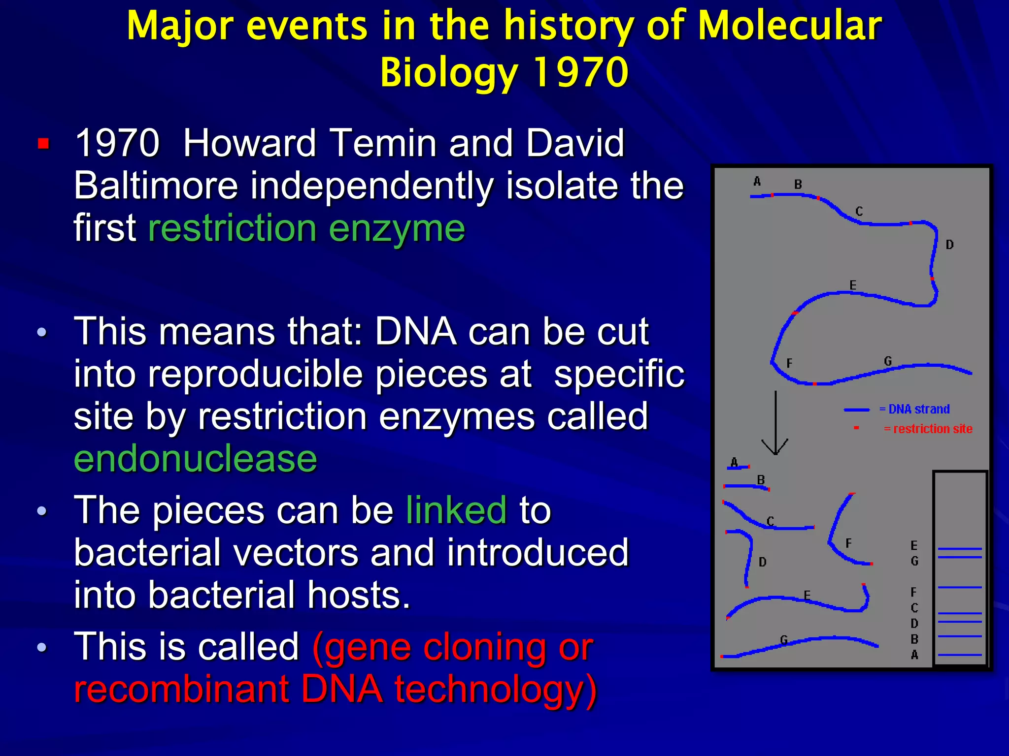 Chapter 1 An Introduction to Molecular Biology.ppt