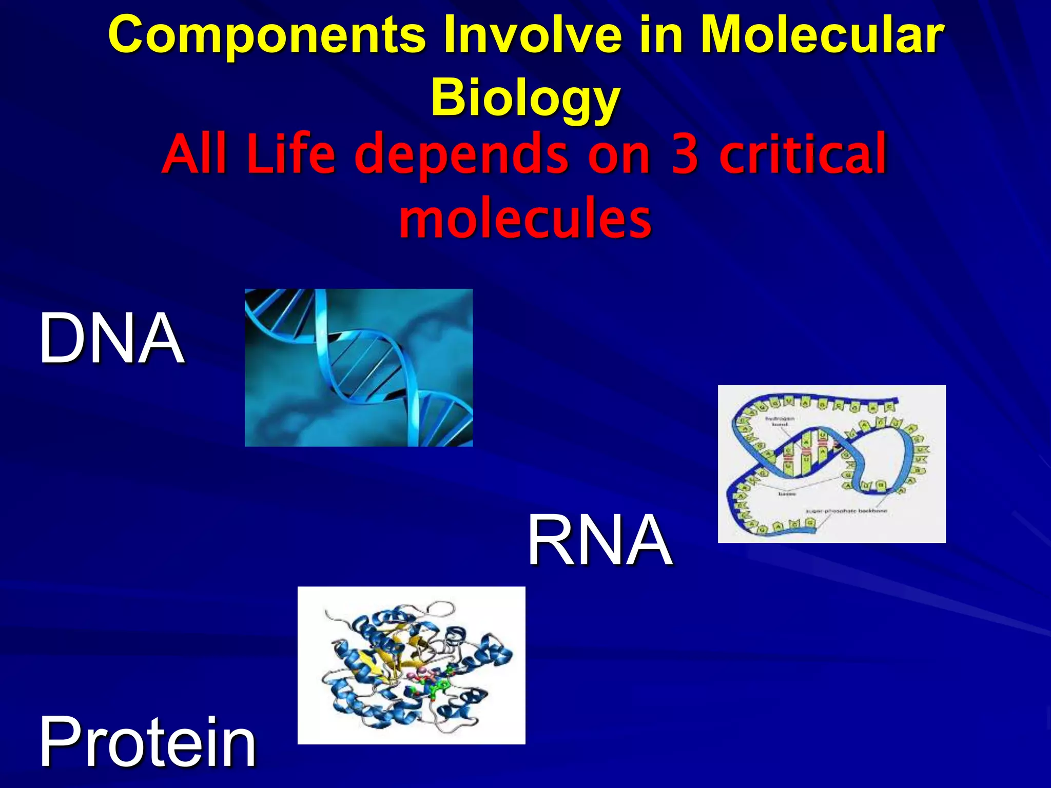 Chapter 1 An Introduction to Molecular Biology.ppt