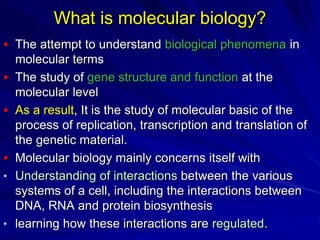 Chapter 1 An Introduction to Molecular Biology.ppt