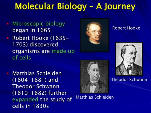 Chapter 1 An Introduction to Molecular Biology.ppt