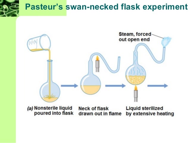 Chapter 1 (microbiology) 8th edition