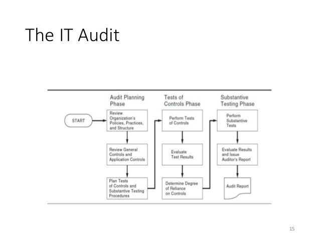 Chapter 1 auditing and internal control