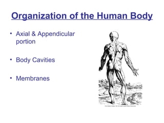 Chapter1b | PPT