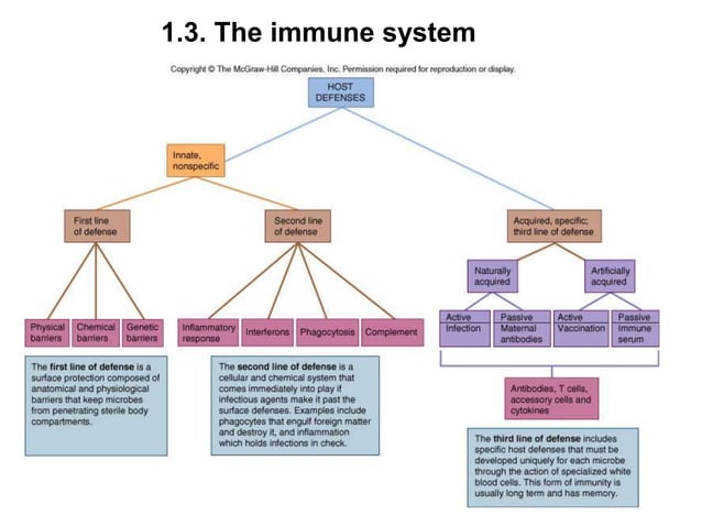 Chapter 1 Basic Immunology ppts DZ 2010.ppt | Infectious Diseases ...