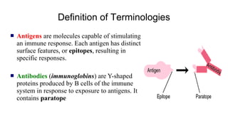 Chapter 1 The Basic Immunology | PPT