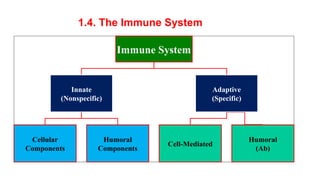 Chapter 1 The Basic Immunology | PPT