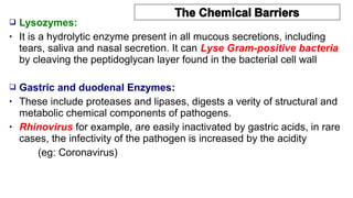 Chapter 1 The Basic Immunology | PPT
