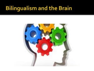 Chapter 1 bilingual advantage | PPTX