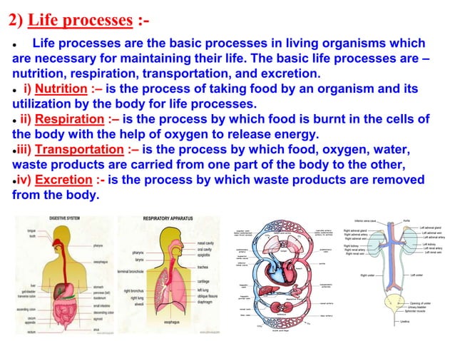 chapter1 bio class 10 ppt for bio .pptx