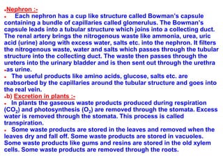 chapter1 bio class 10 ppt for bio .pptx