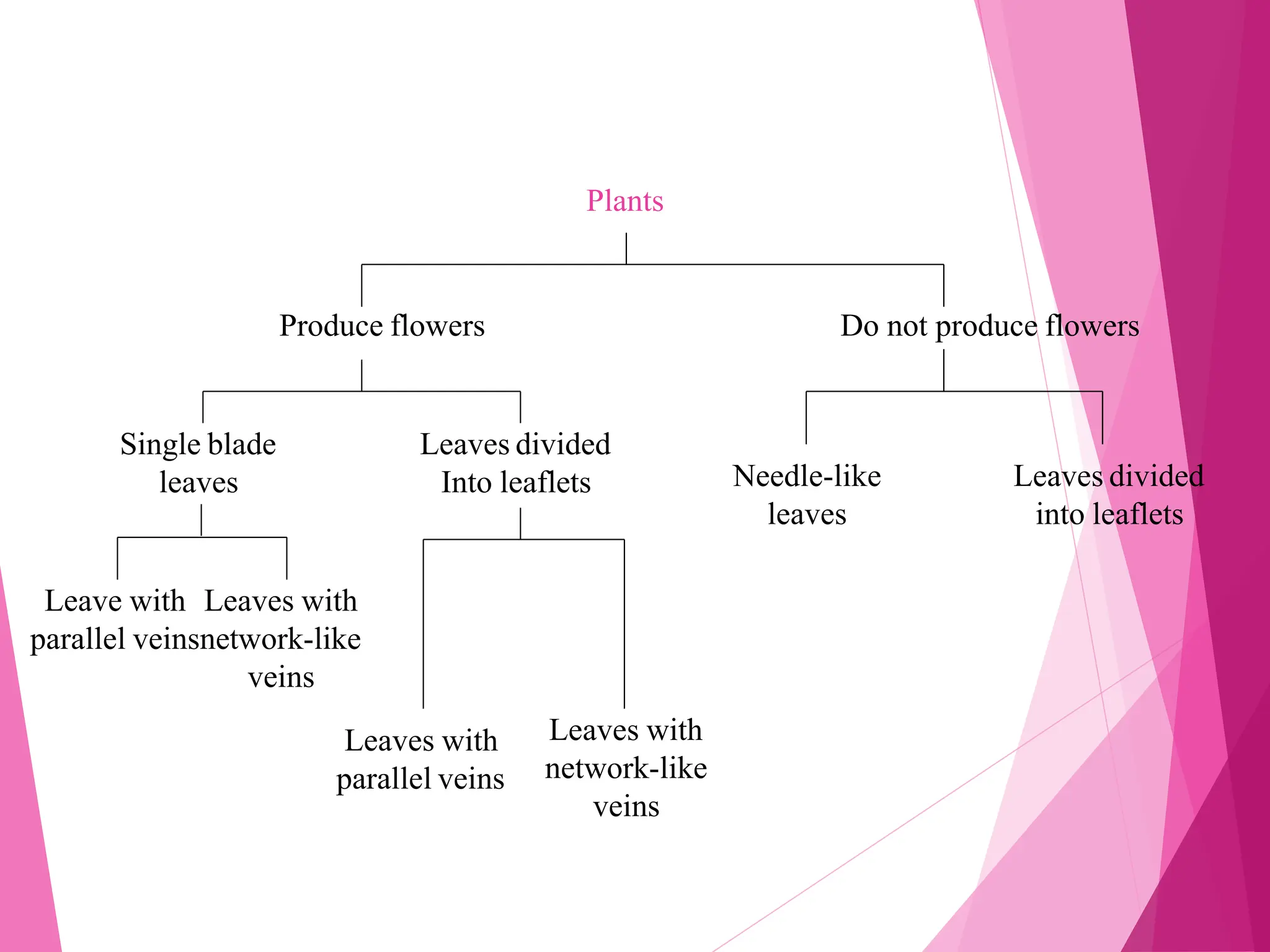 CHAPTER 1 BIODIVERSITY SCIENCE DLP FORM 2.pptx